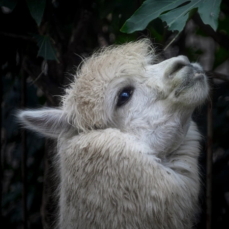 米拍摄影-Mipai-玩摄影上米拍-摄影师学习分享交流平台